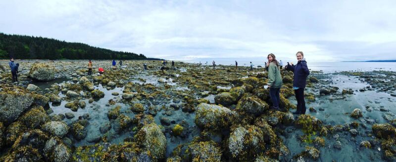 Haida Gwaii Institute (HGI) | Education | BC