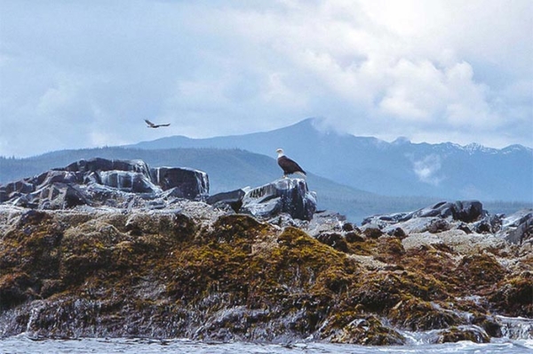 Online Learning - Haida Gwaii Institute (HGI)