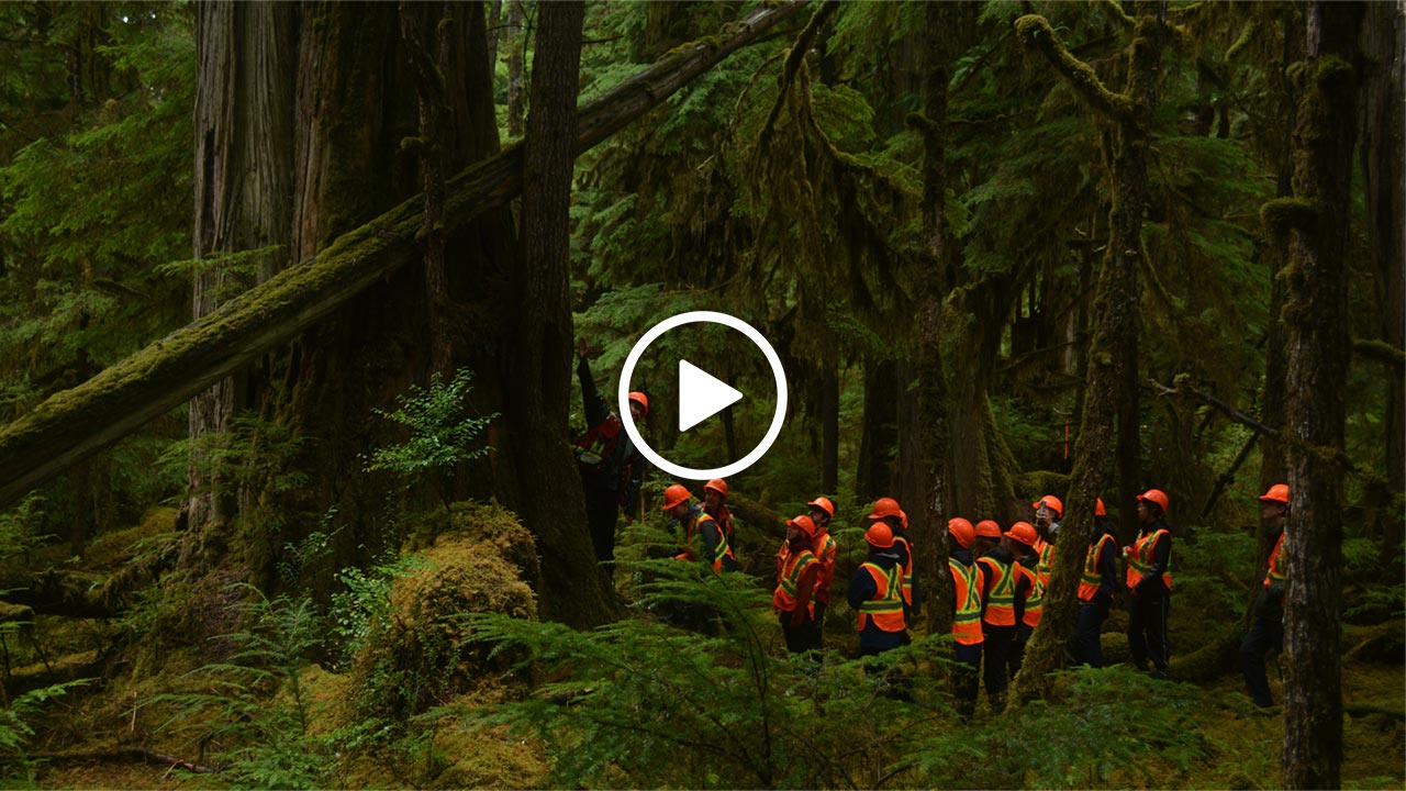 Haida Gwaii Institute (HGI) | Education | BC